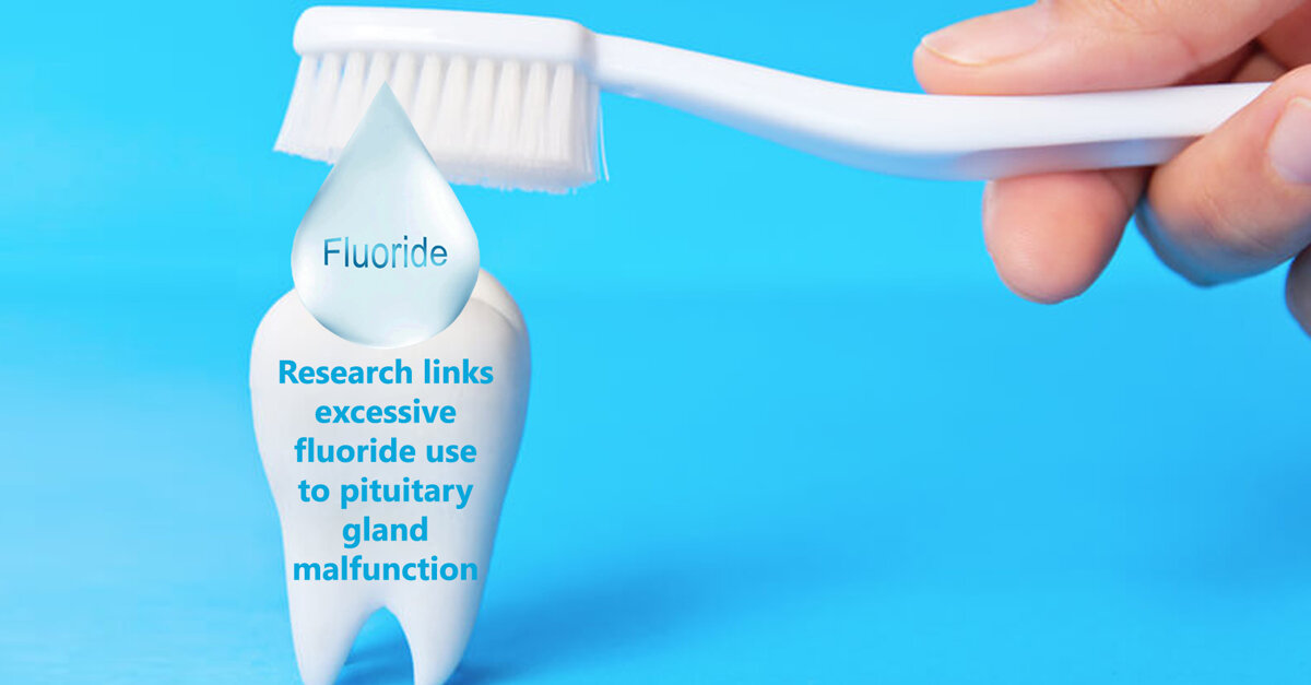 Research links excessive fluoride use to pituitary gland malfunction