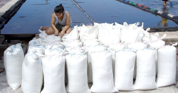 Dental News - Fluoridated salt used in global fight against caries