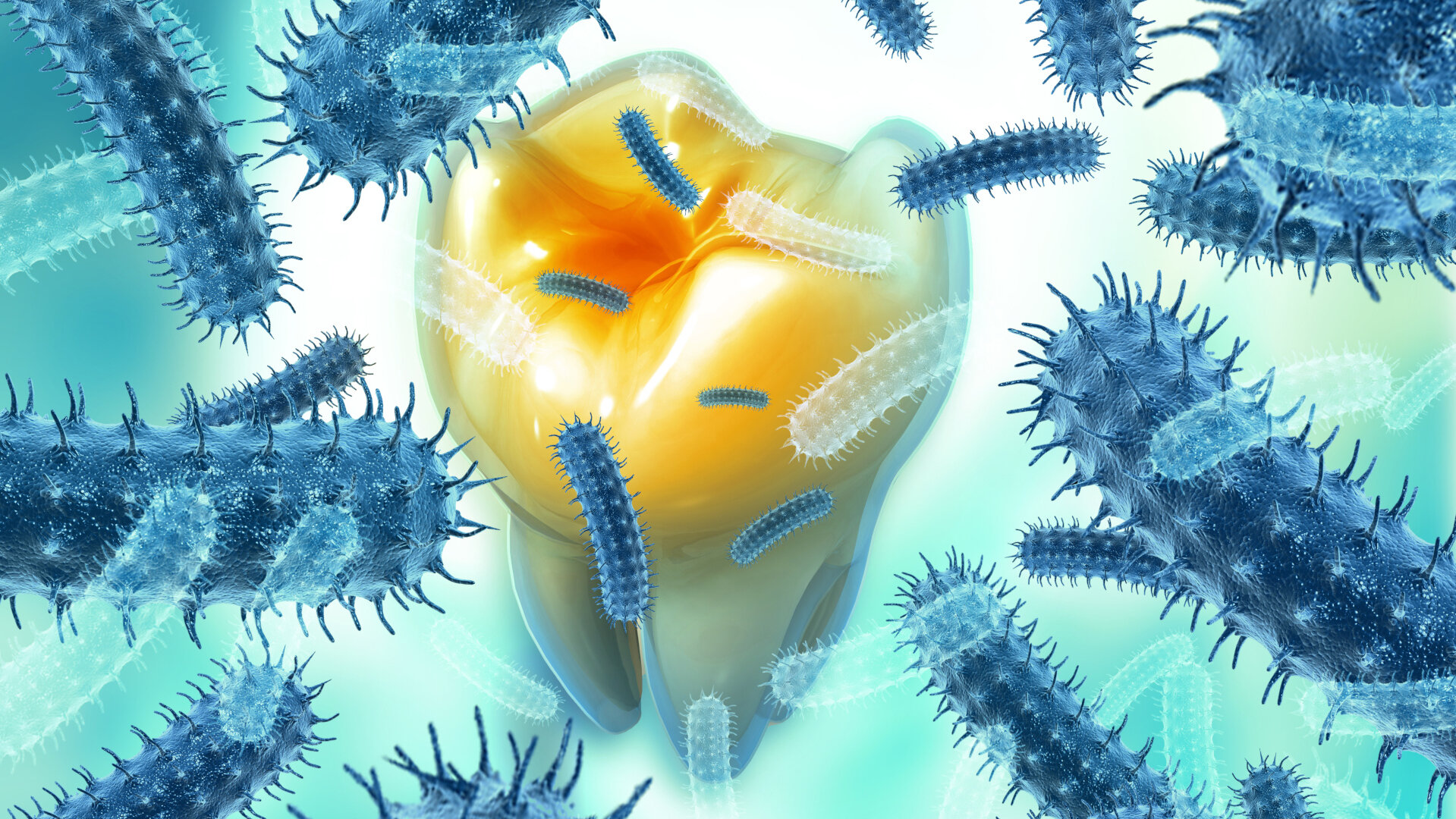 DT News - International - Study offers new insight into diversity and ...