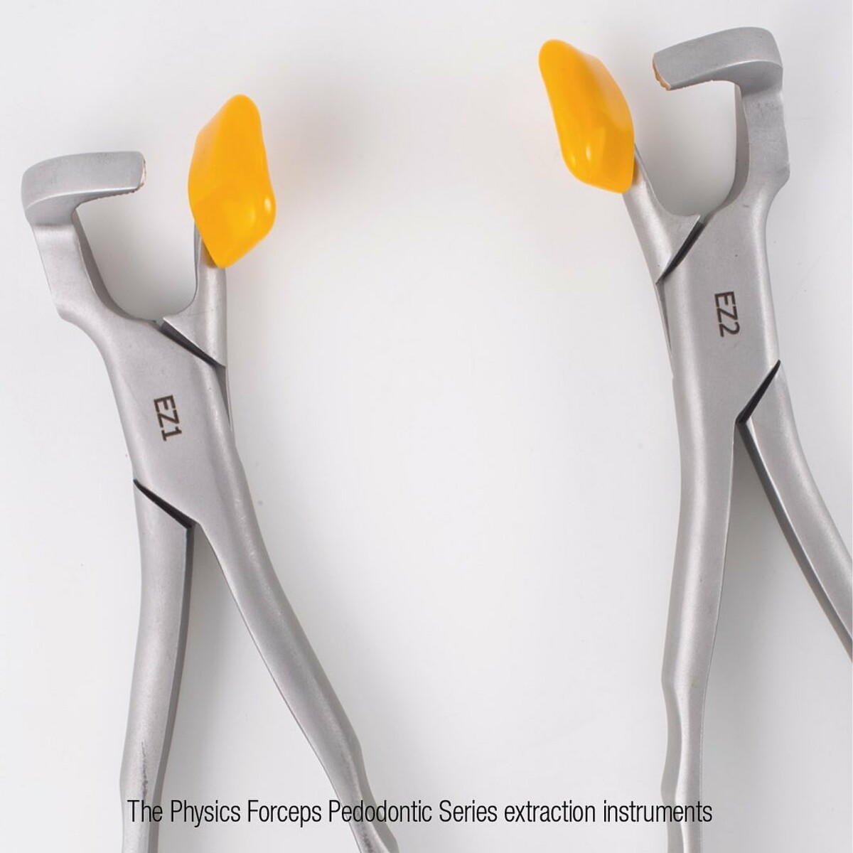 Physics Forceps®