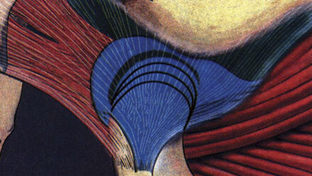 DT News - Latin America - Tratamiento Craneofacial Miofuncional ...