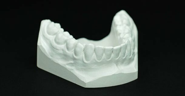 La forme de la mâchoire inférieure révèle les différences alimentaires