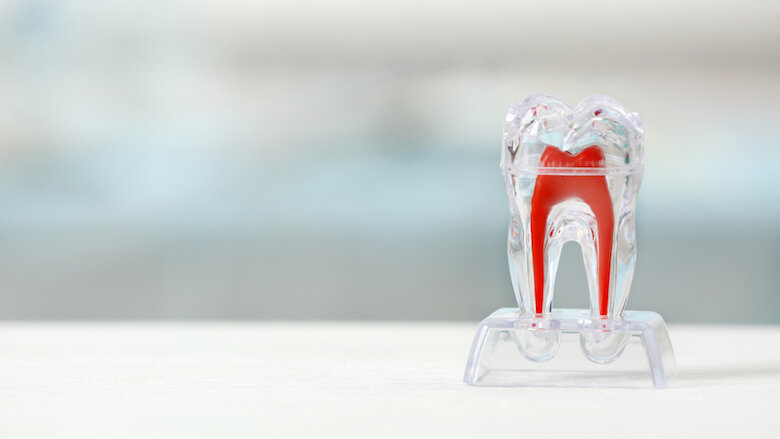 Researchers discover method to control tooth root development