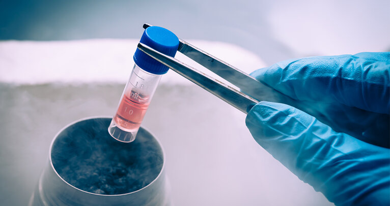 Eggshells may help heal teeth and bones