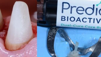 Dental Tribune International - Companies