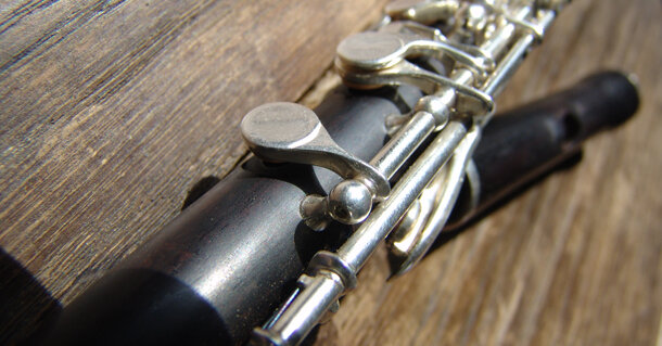 Dental News - Used woodwind and brass musical instruments harbor ...