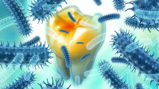 DT News - International - Study offers new insight into diversity and ...