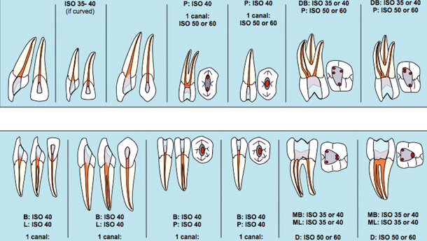 DT News - International - BioRaCe—Efficient, safe and biological based ...