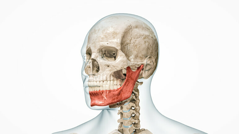 Mandibular bone structure indicates future loss of stature