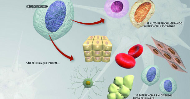 Stem cells in implant dentistry