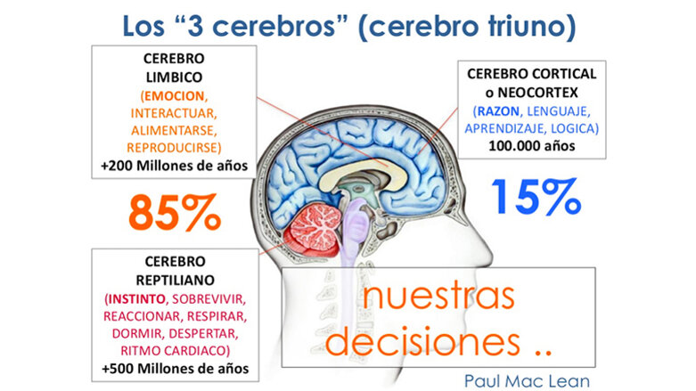 Venciendo obstáculos