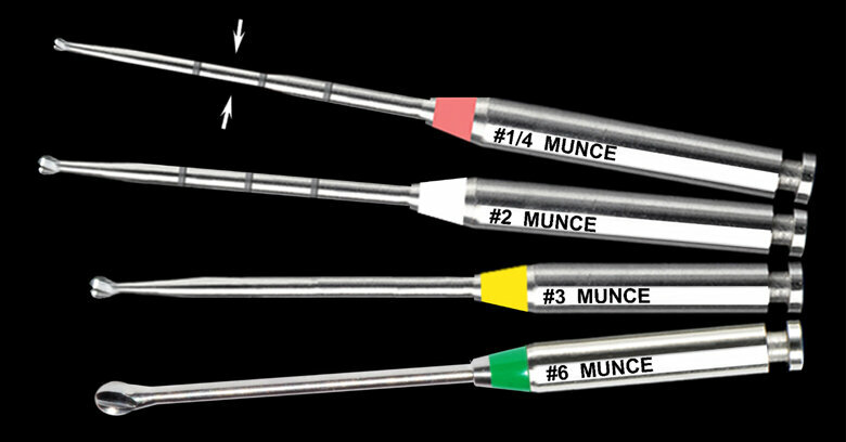 Munce Discovery Burs