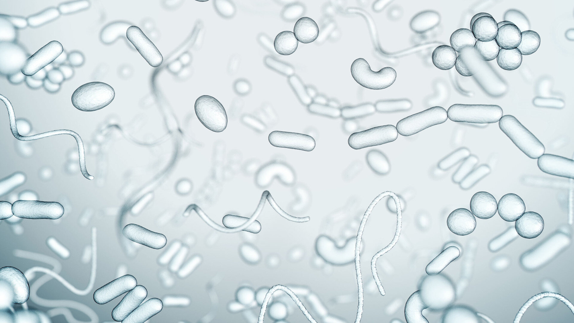 Colgate Oral Health Network