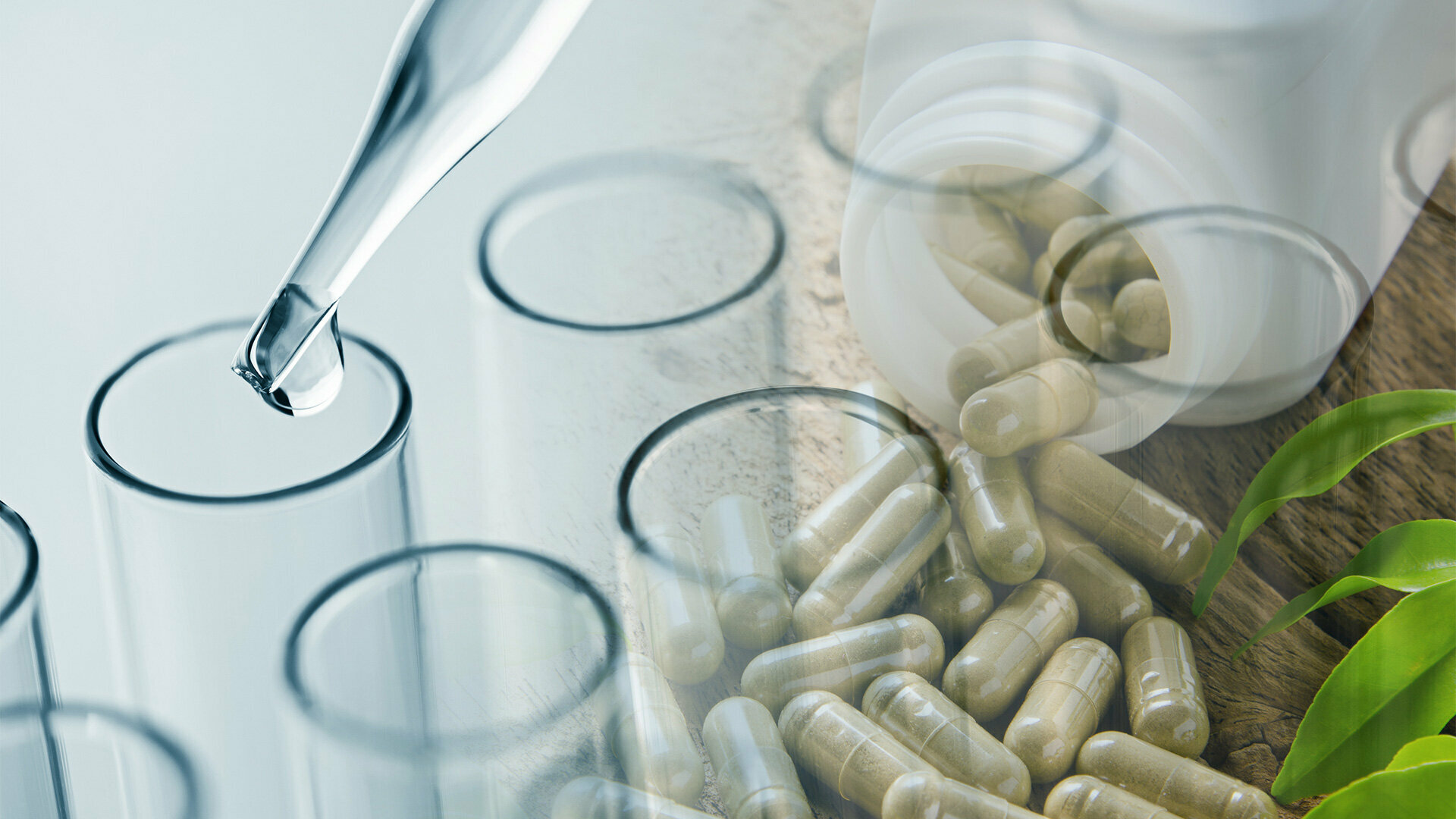 Colgate Oral Health Network